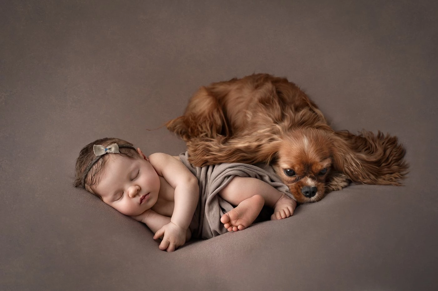 Best Newborn Photographers on Babyphotoawards.com! Baby photos, baby ...
